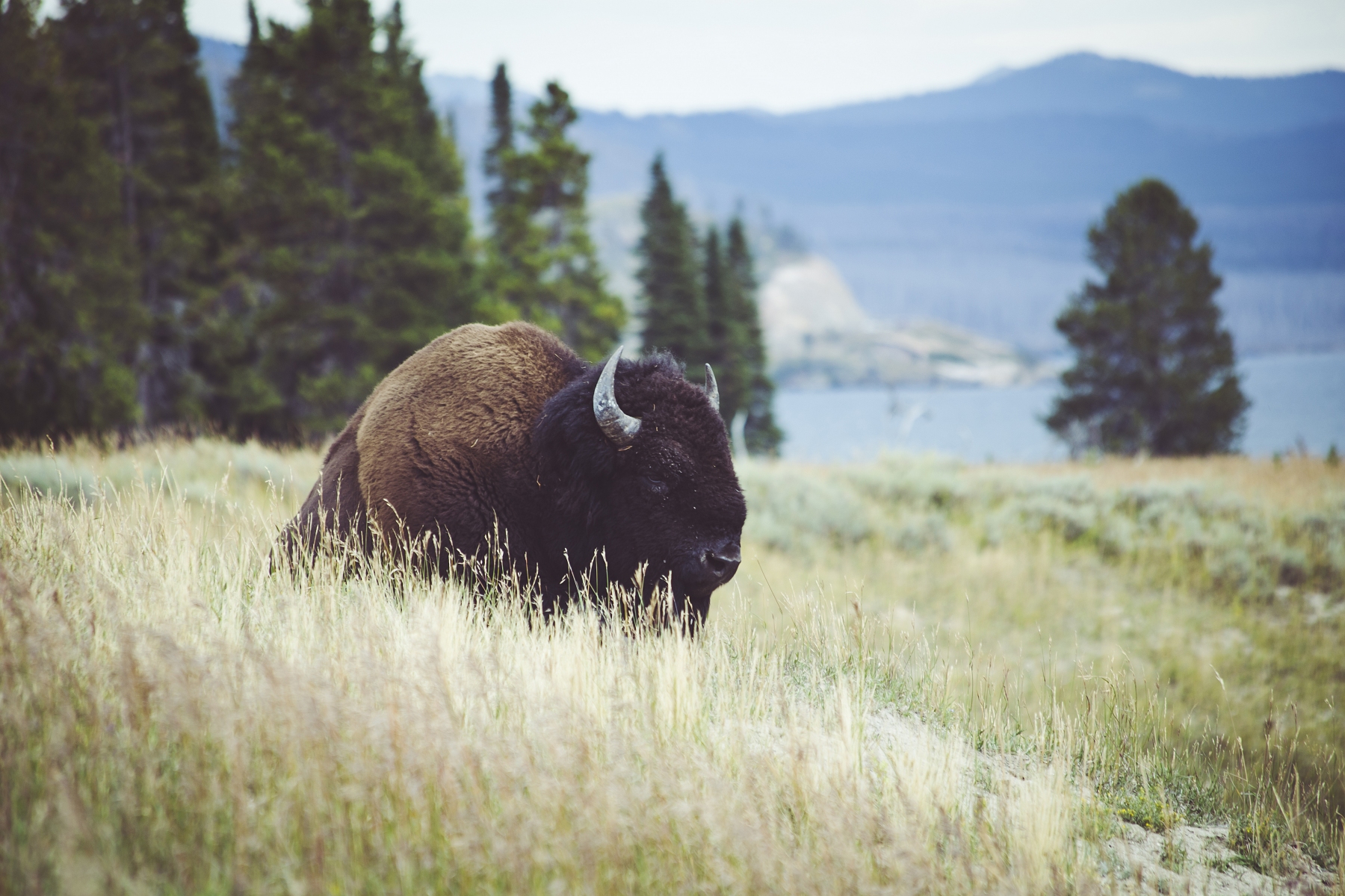 April Albaugh – Digital Content Producer