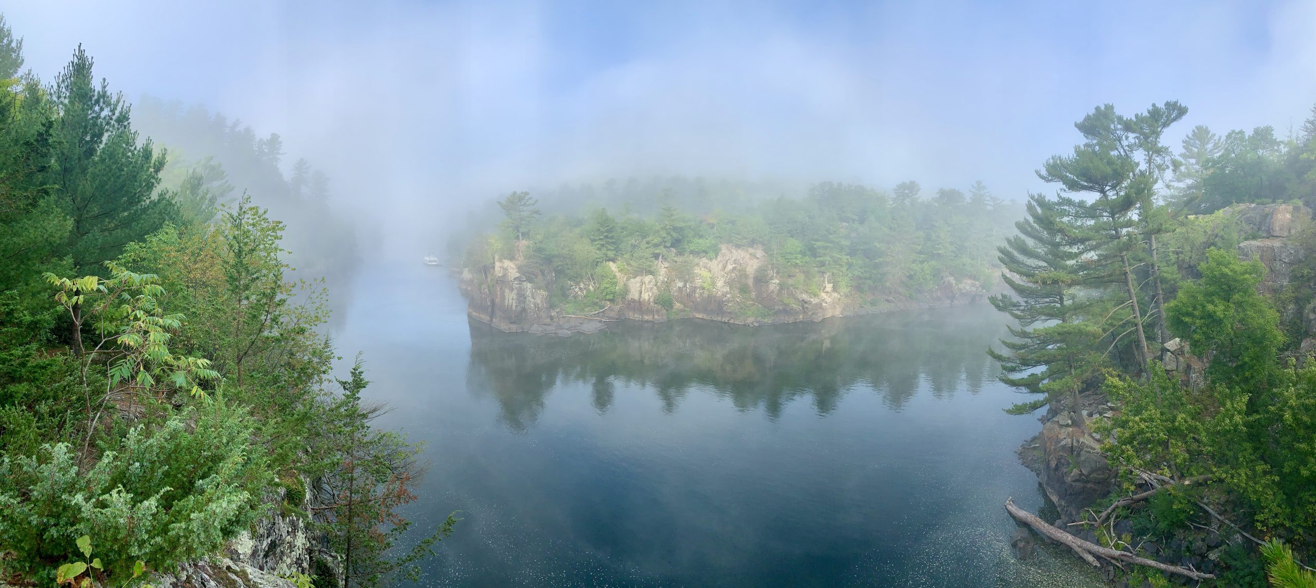 Forest Bathing – April Albaugh